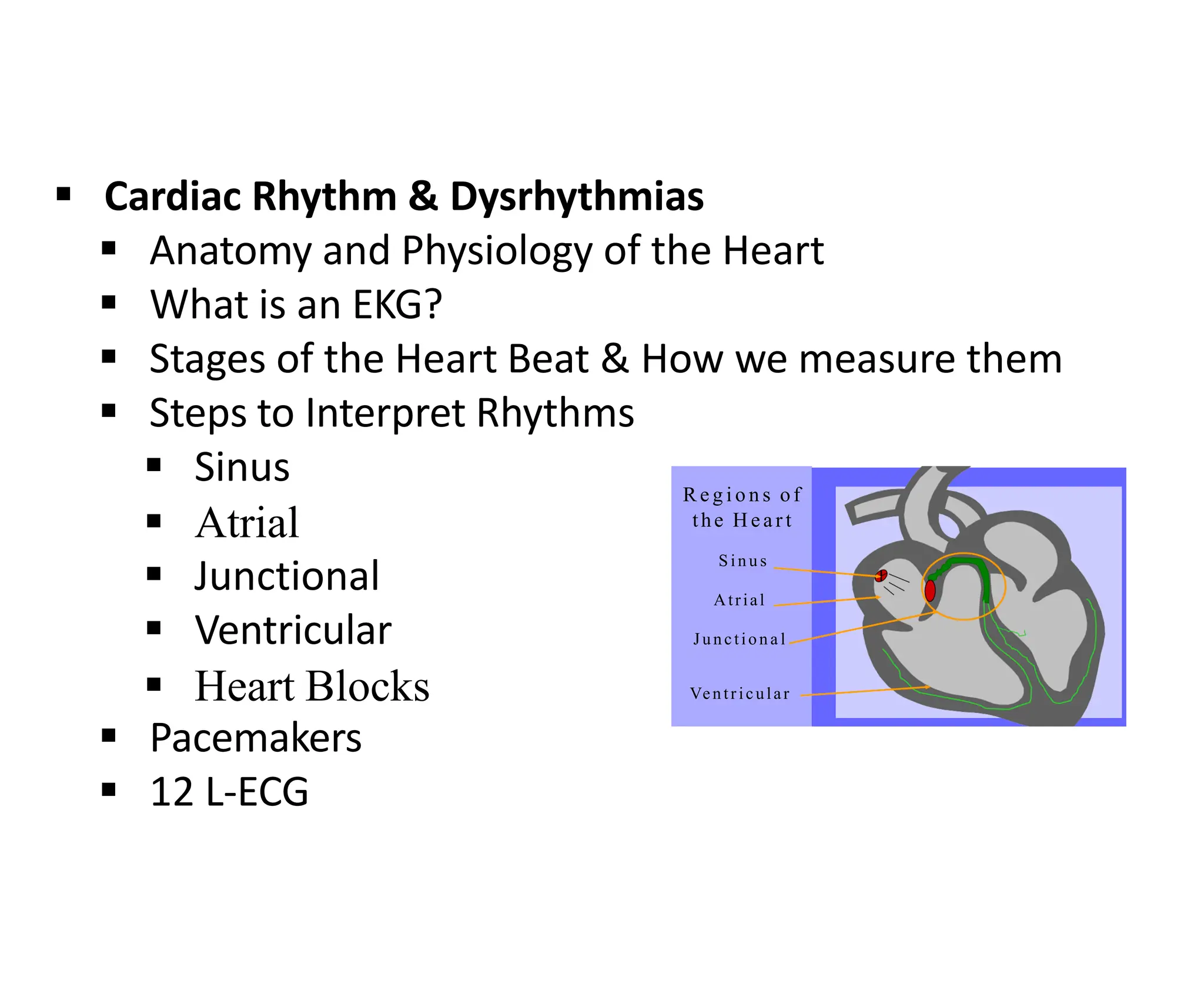 Cardiac Arrhythmias (2).pdf for nursing student | PPT