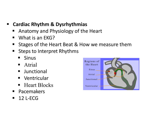 Cardiac Arrhythmias (2).pdf for nursing student | PPT