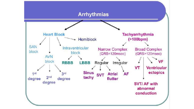 Cardiac Arrhythmias and aortic-anesurism.pptx | Heart and Cardiovascular Diseases | Diseases and ...