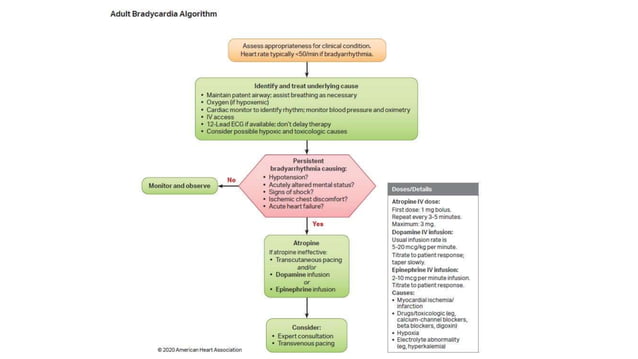 Cardiac Arrhythmias and aortic-anesurism.pptx | Heart and Cardiovascular Diseases | Diseases and ...