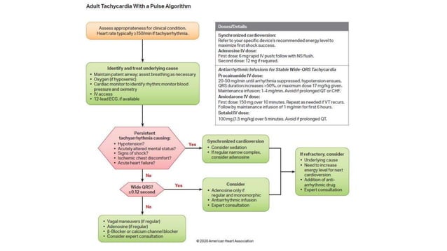 Cardiac Arrhythmias and aortic-anesurism.pptx | Heart and Cardiovascular Diseases | Diseases and ...