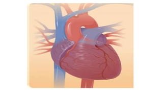 CARDIAC ARRTHYMIAs PART 2 BY DR. QAZI IMTIAZ RASOOL | PPT