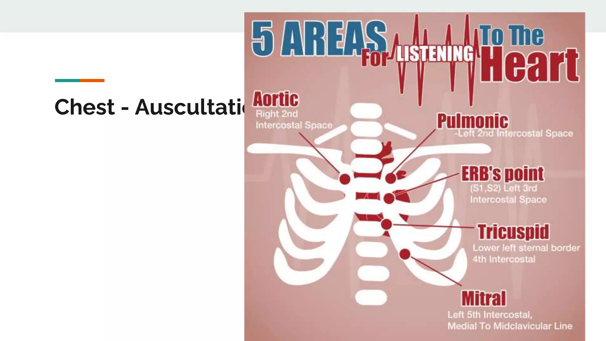 Cardiac assessment | PPTX