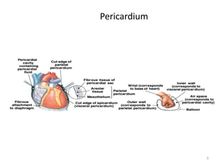 cardiac Assessment.ppt