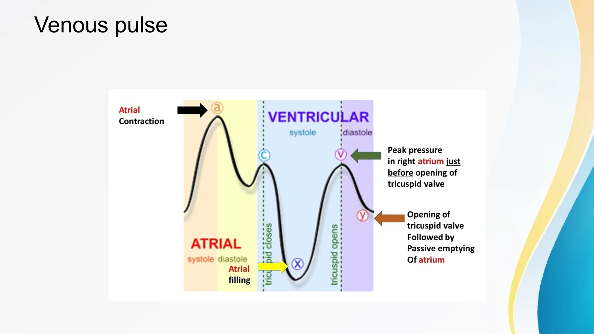 CARDIAC ASSESSMENT, HEART SOUNDS, CARDIAC ENZYME.pptx