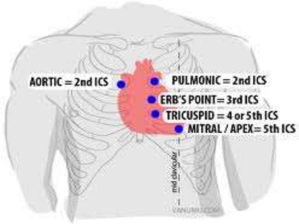 Cardiac assessment ppt