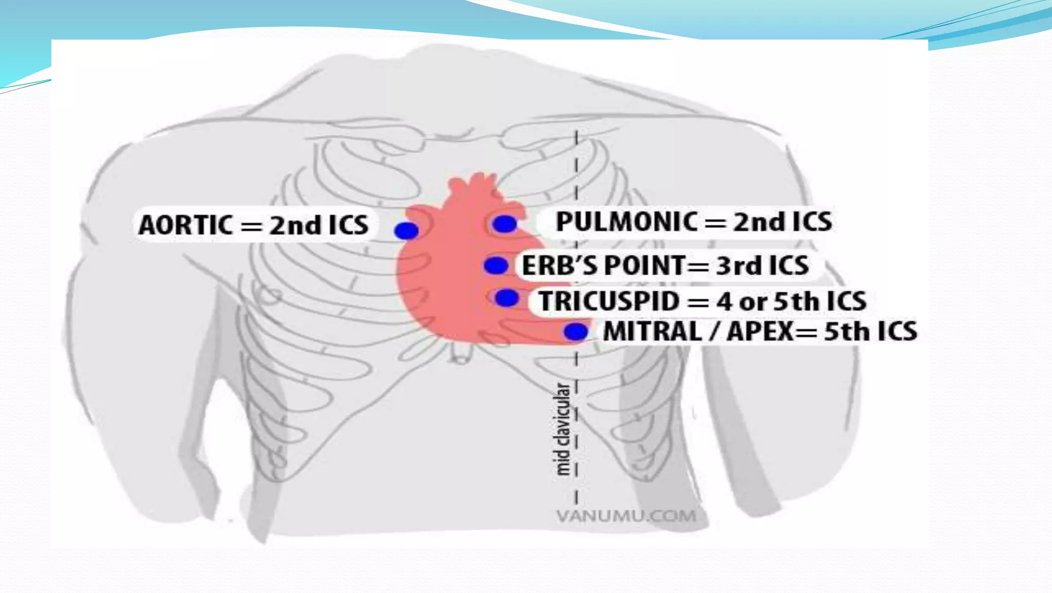 Cardiac assessment ppt | PPTX