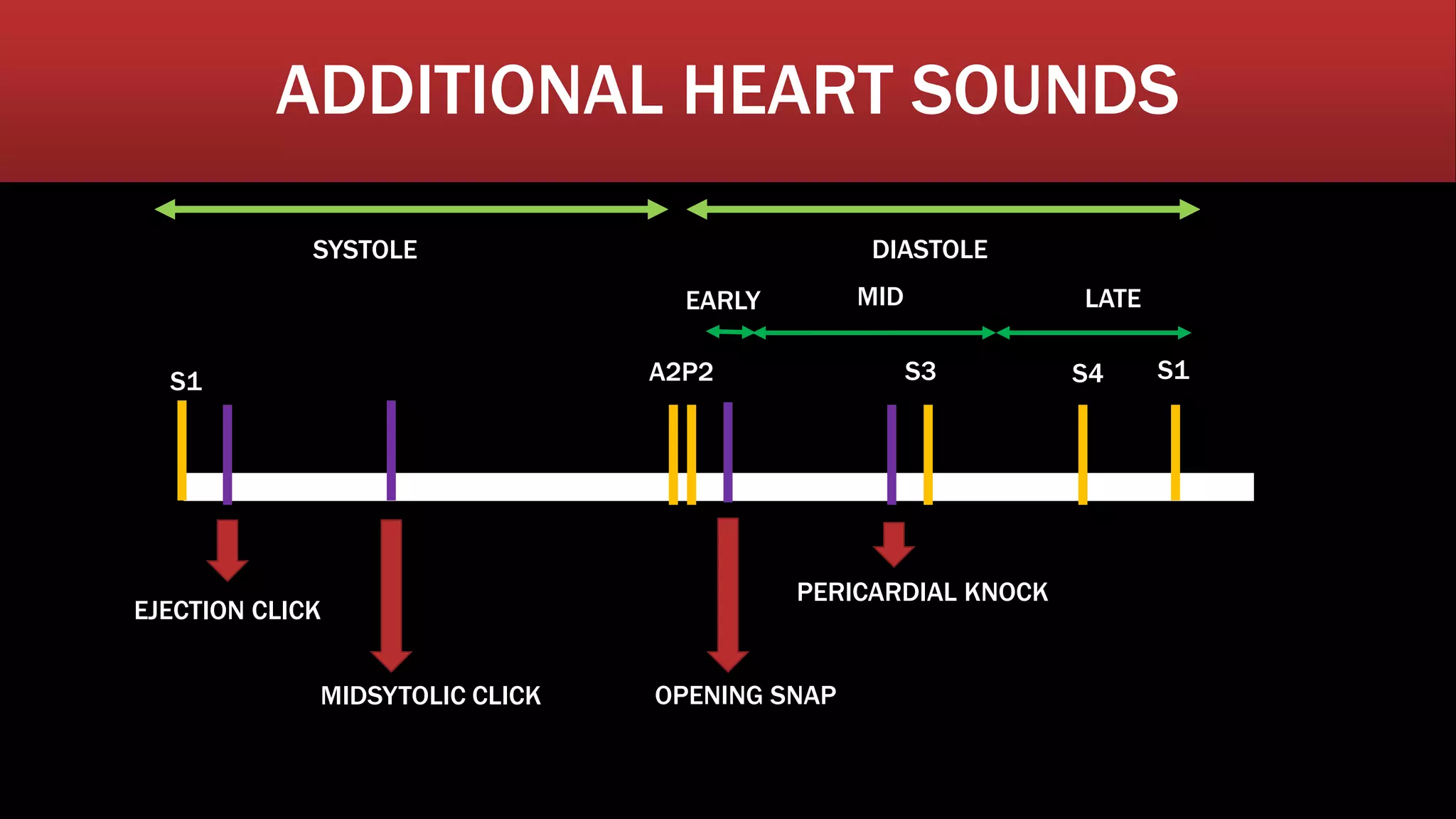 Cardiac auscultation | PPTX