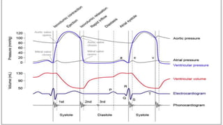 Cardiac auscultation | PPTX