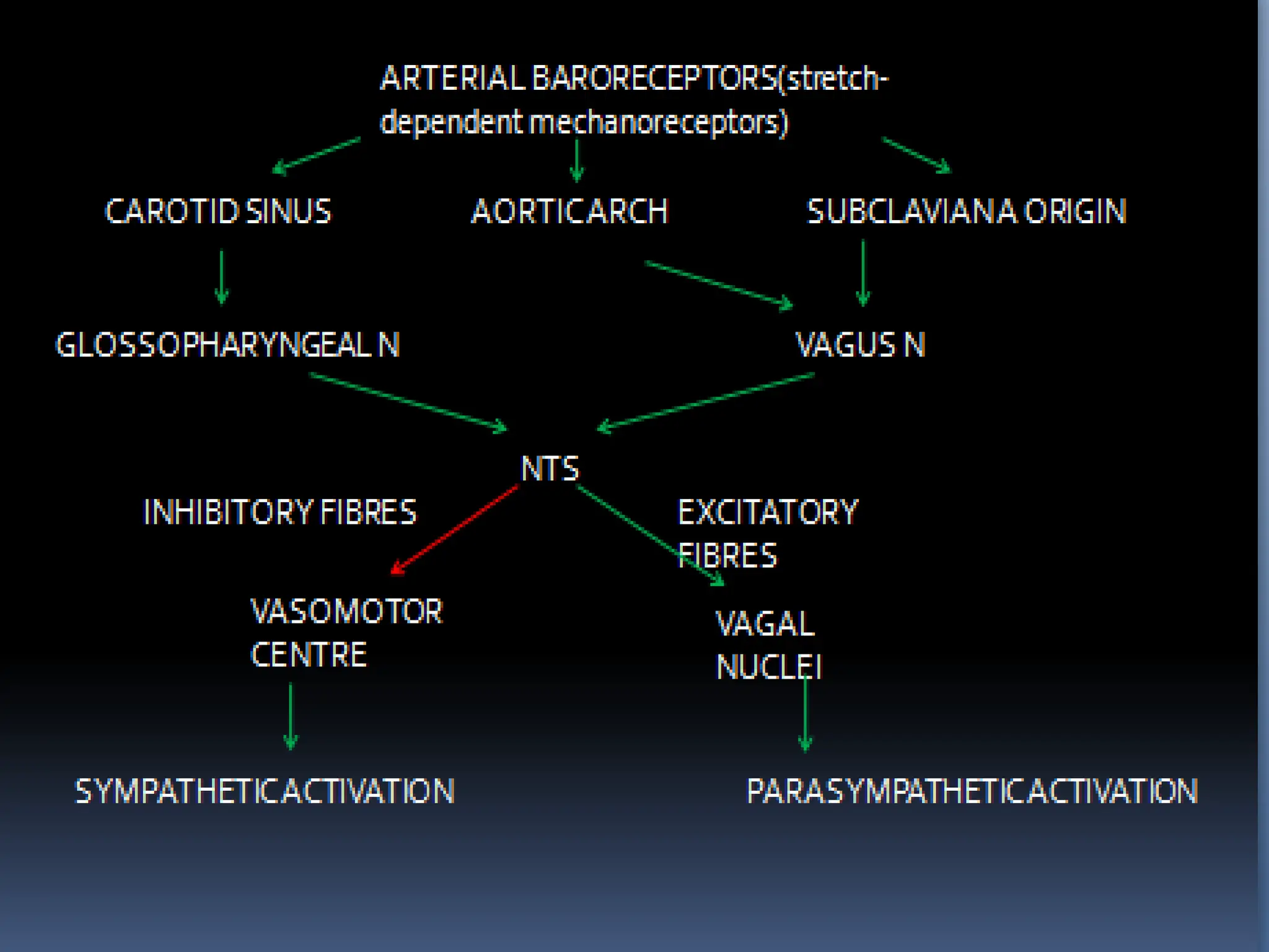 CARDIAC AUTONOMIC SYSTEM CLINICAL SIGNIFICANCE.pptx