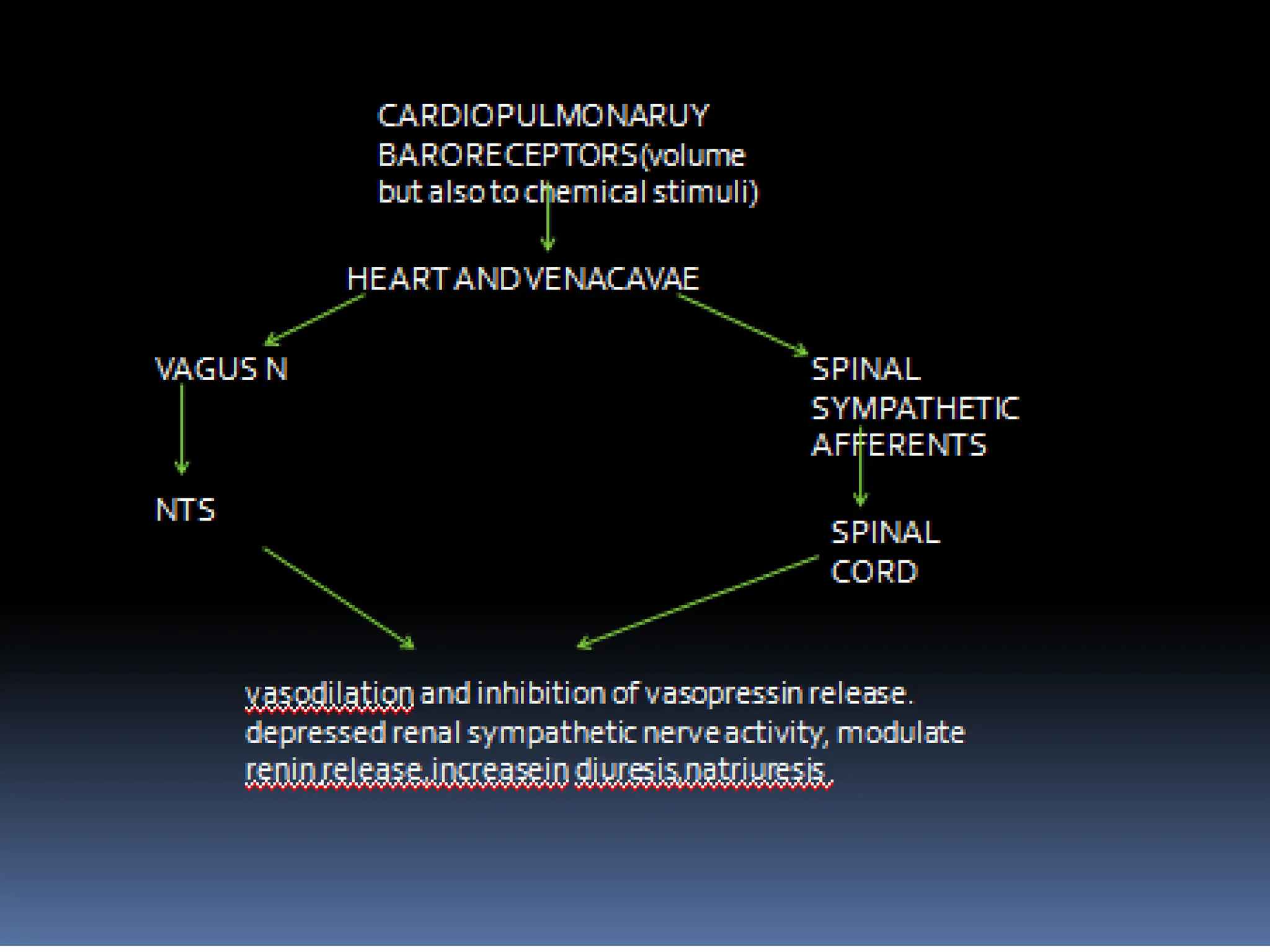 CARDIAC AUTONOMIC SYSTEM CLINICAL SIGNIFICANCE.pptx
