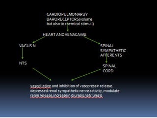 CARDIAC AUTONOMIC SYSTEM CLINICAL SIGNIFICANCE.pptx