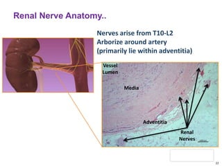 CARDIAC AUTONOMIC SYSTEM CLINICAL SIGNIFICANCE.pptx