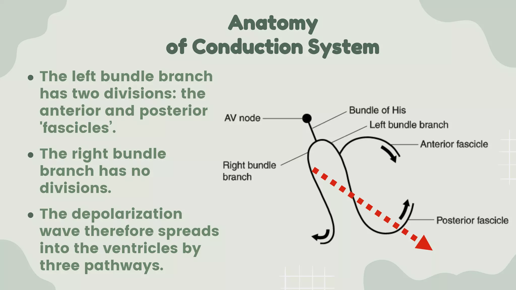 Cardiac Axis Simplified.pptx