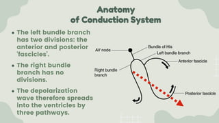 Cardiac Axis Simplified.pptx