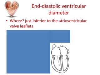 Cardiac biometry | PPT