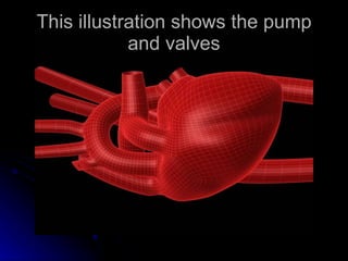 Cardiac catheterization | PPT