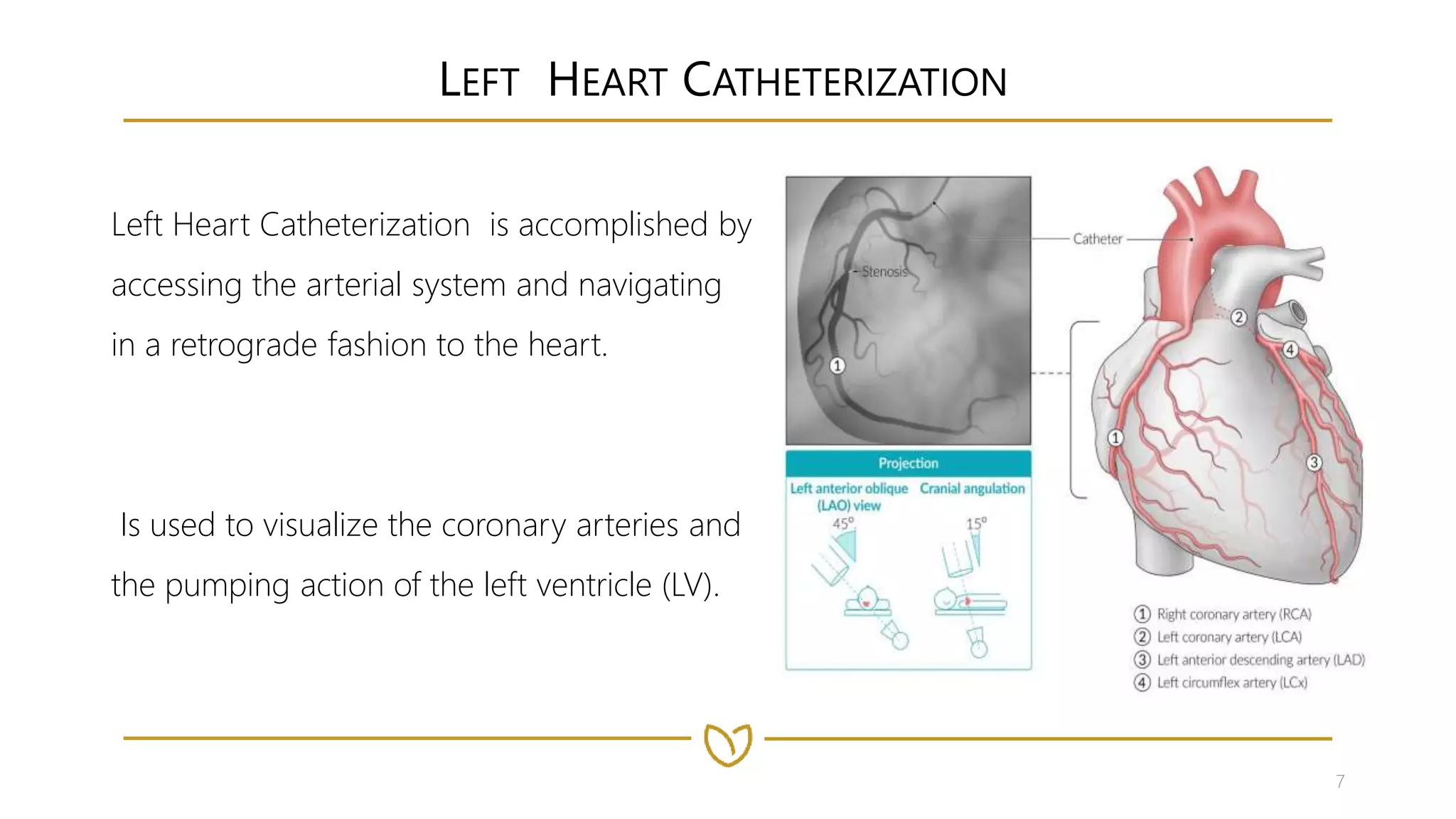 CARDIAC CATHETERIZATION.pptx