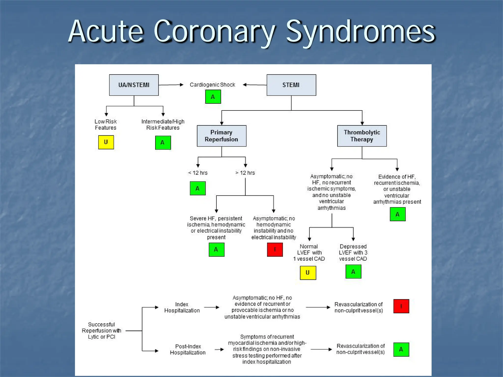 Cardiac Cath Lab Basics ( PDFDrive ).pdf