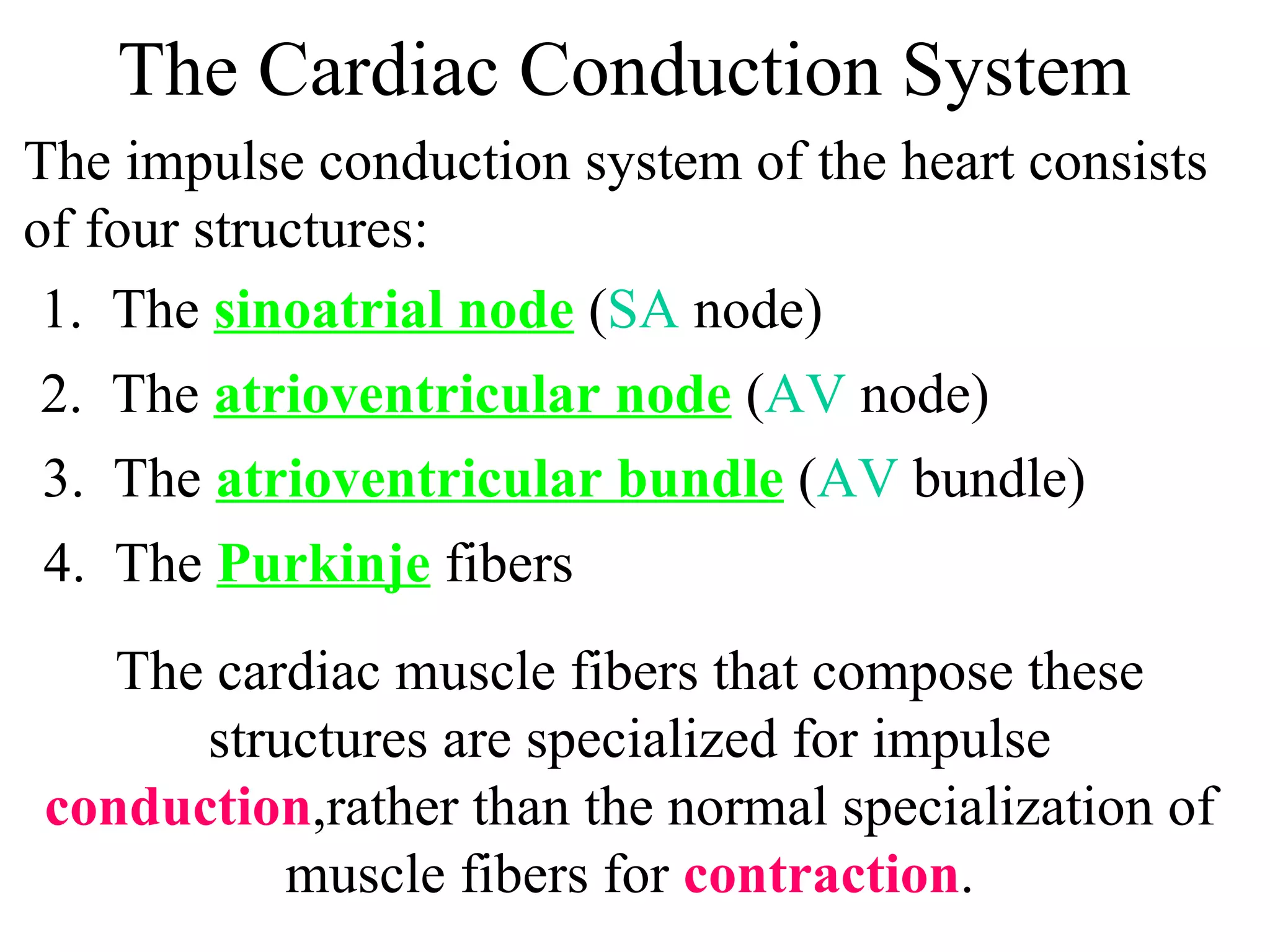 Cardiac conduction system | PPT