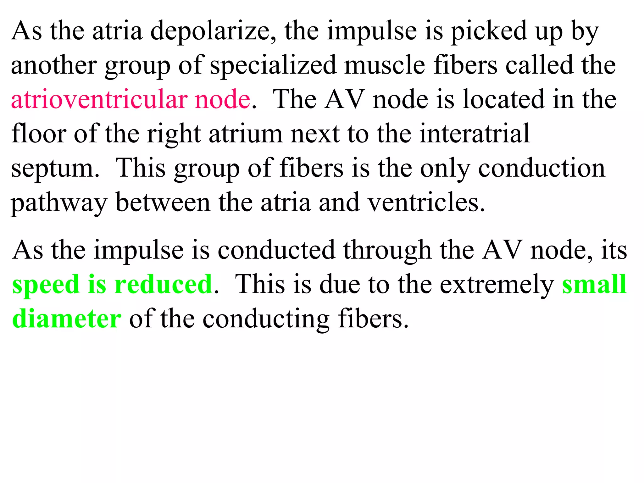 Cardiac conduction system | PPT