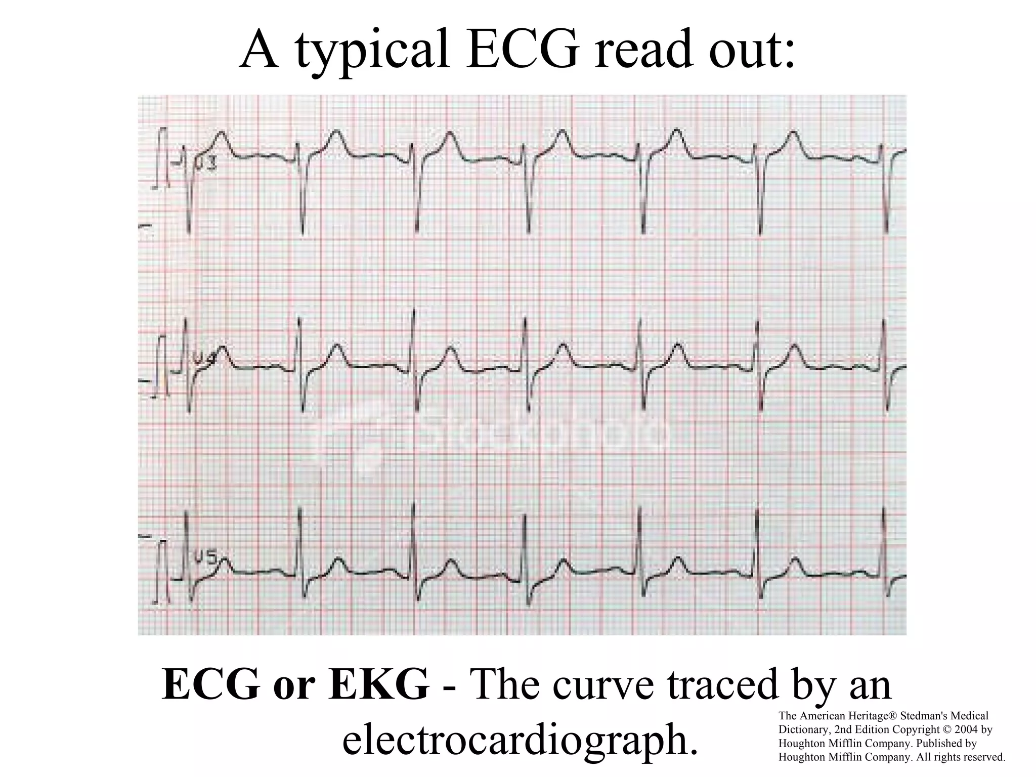 Cardiac conduction system | PPT