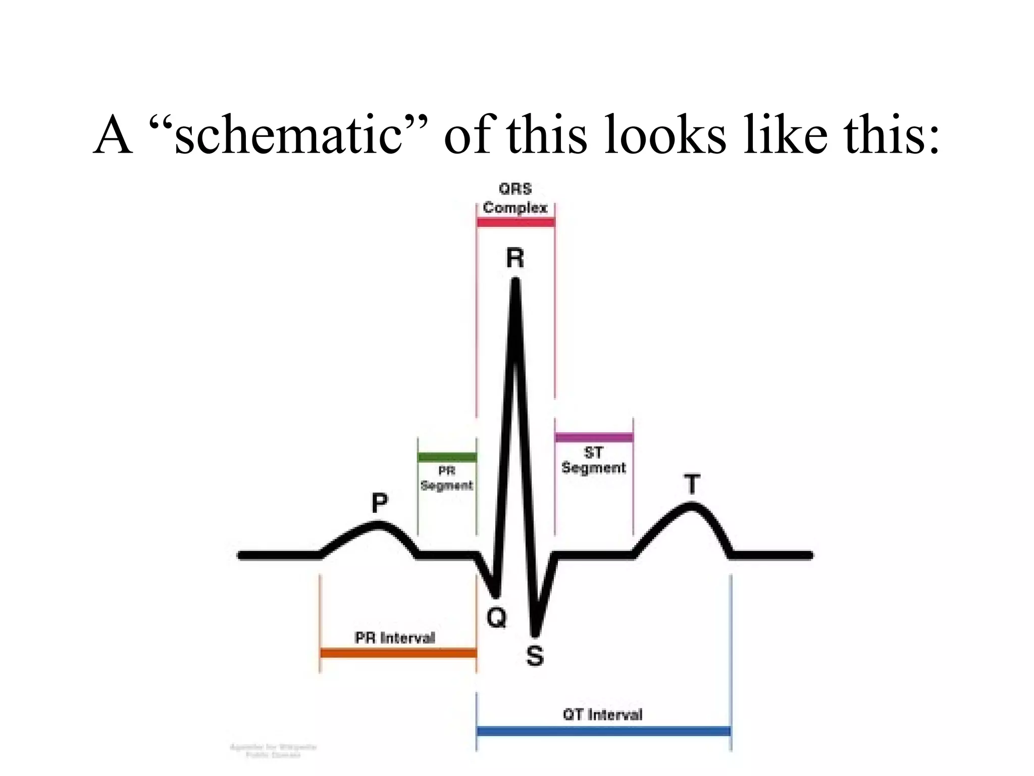Cardiac conduction system | PPT