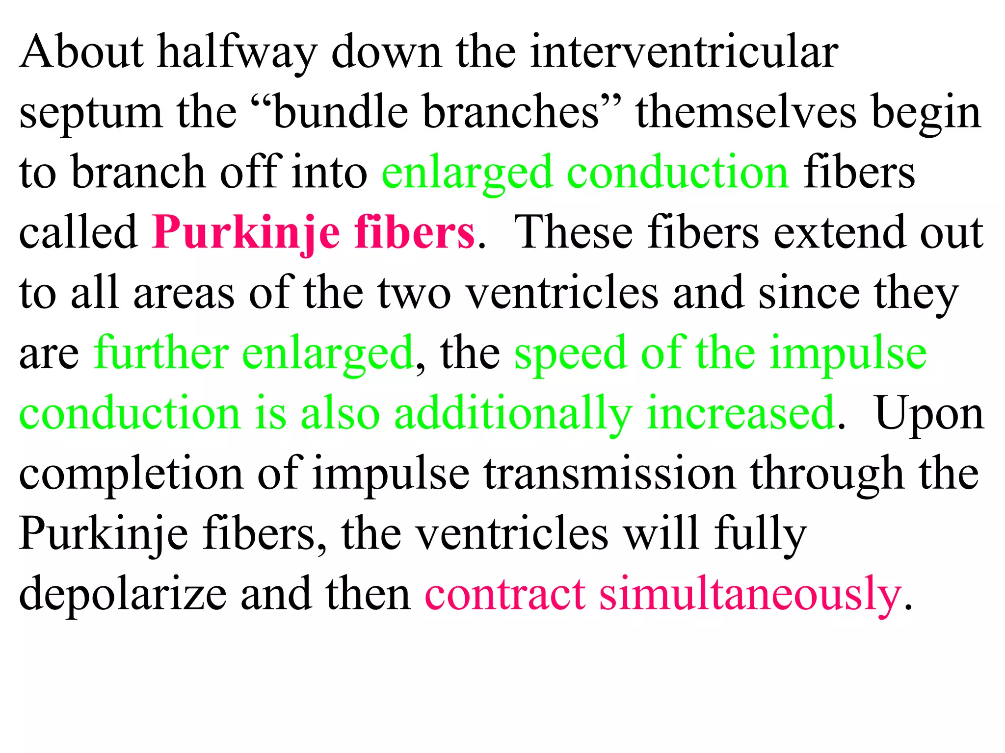 Cardiac conduction system | PPT