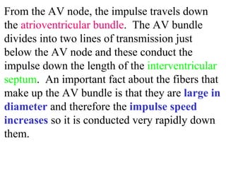 Cardiac conduction system | PPT
