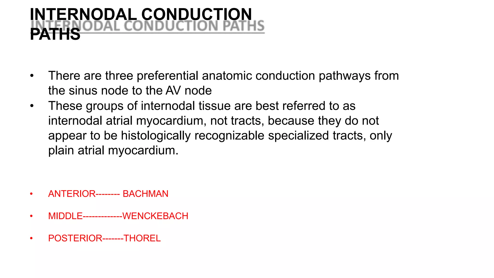 cardiac conduction system.pptx