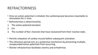 cardiac conduction system.pptx