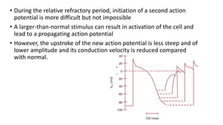 cardiac conduction system.pptx