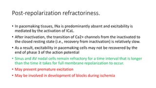 cardiac conduction system.pptx