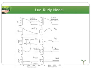 Cardiac conduction system II | PPT
