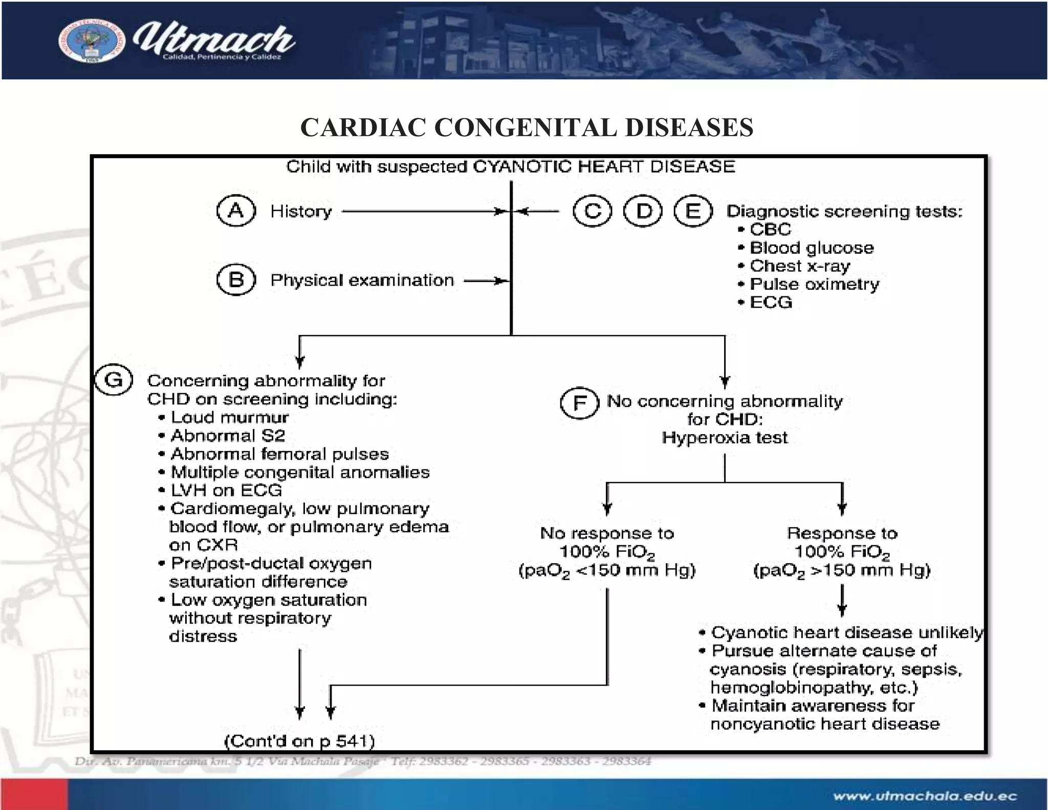 Cardiac congenital diseases algorithm | DOCX