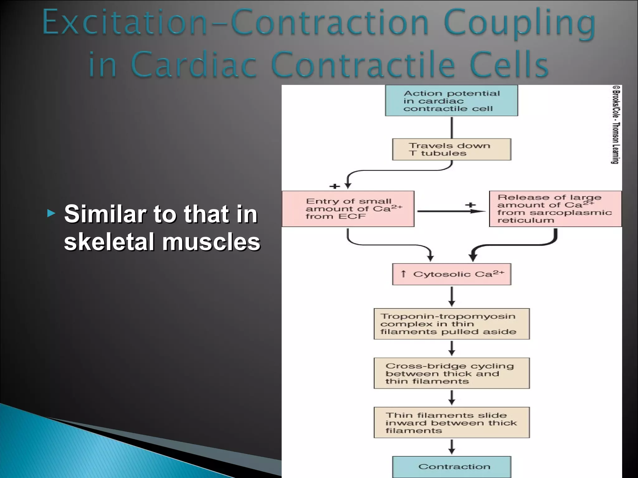 Cardiac contractility | PPT