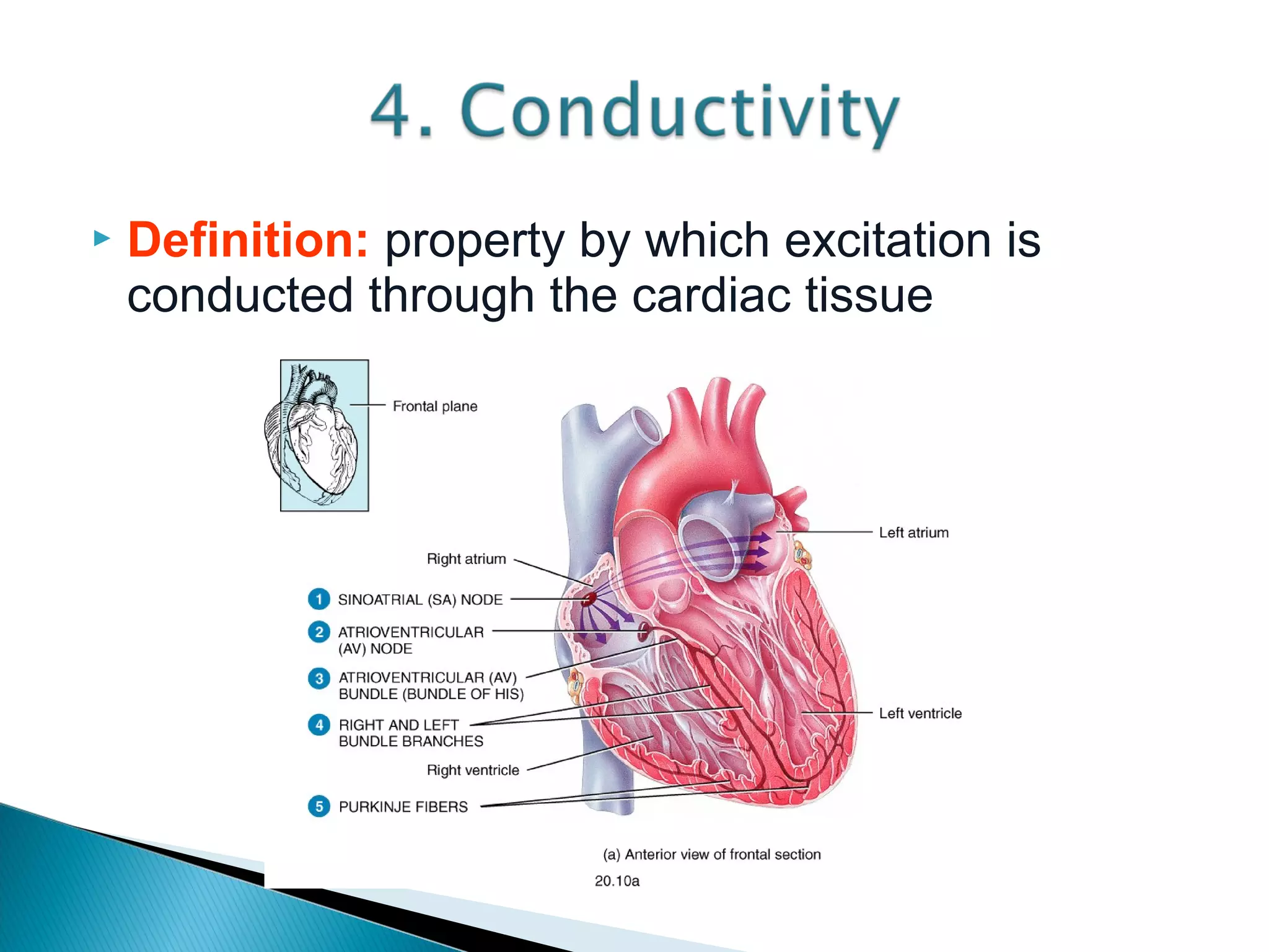 Cardiac contractility | PPT