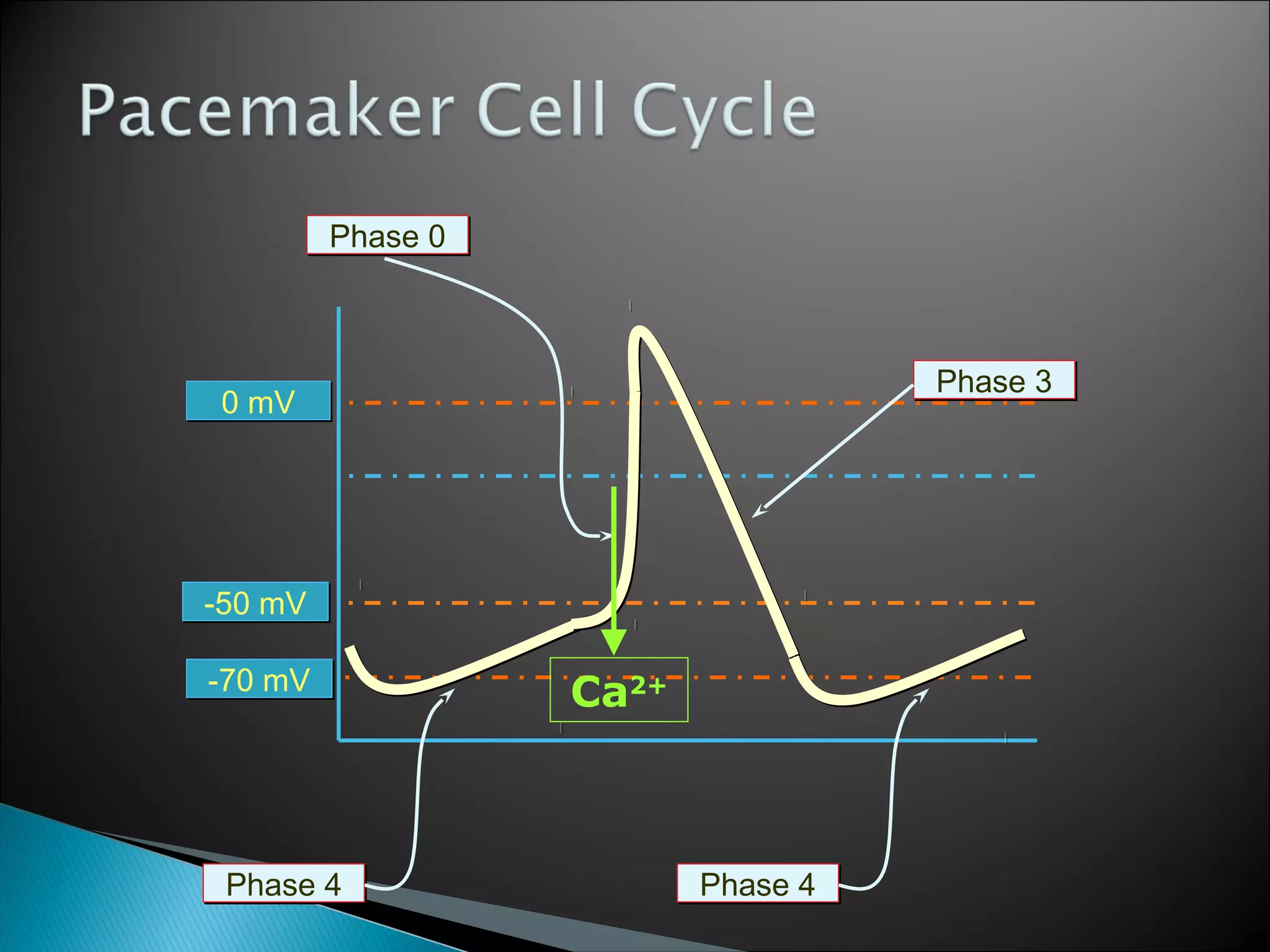 Cardiac contractility | PPT
