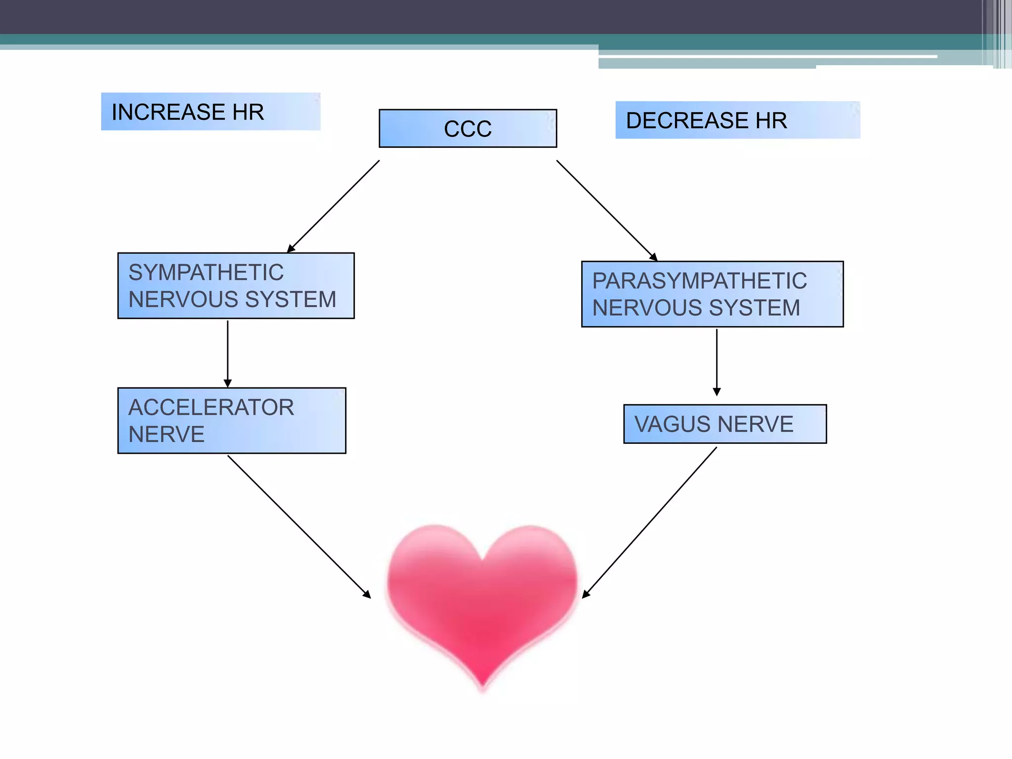 Cardiac Control Centre | PPTX