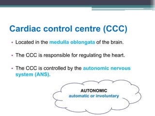 Cardiac Control Centre | PPT