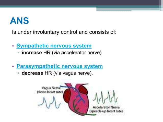 Cardiac Control Centre | PPT