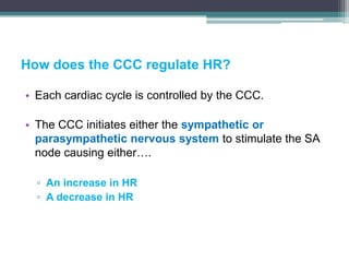 Cardiac Control Centre | PPT