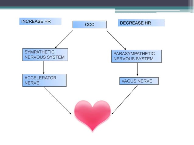 Cardiac Control Centre | PPT