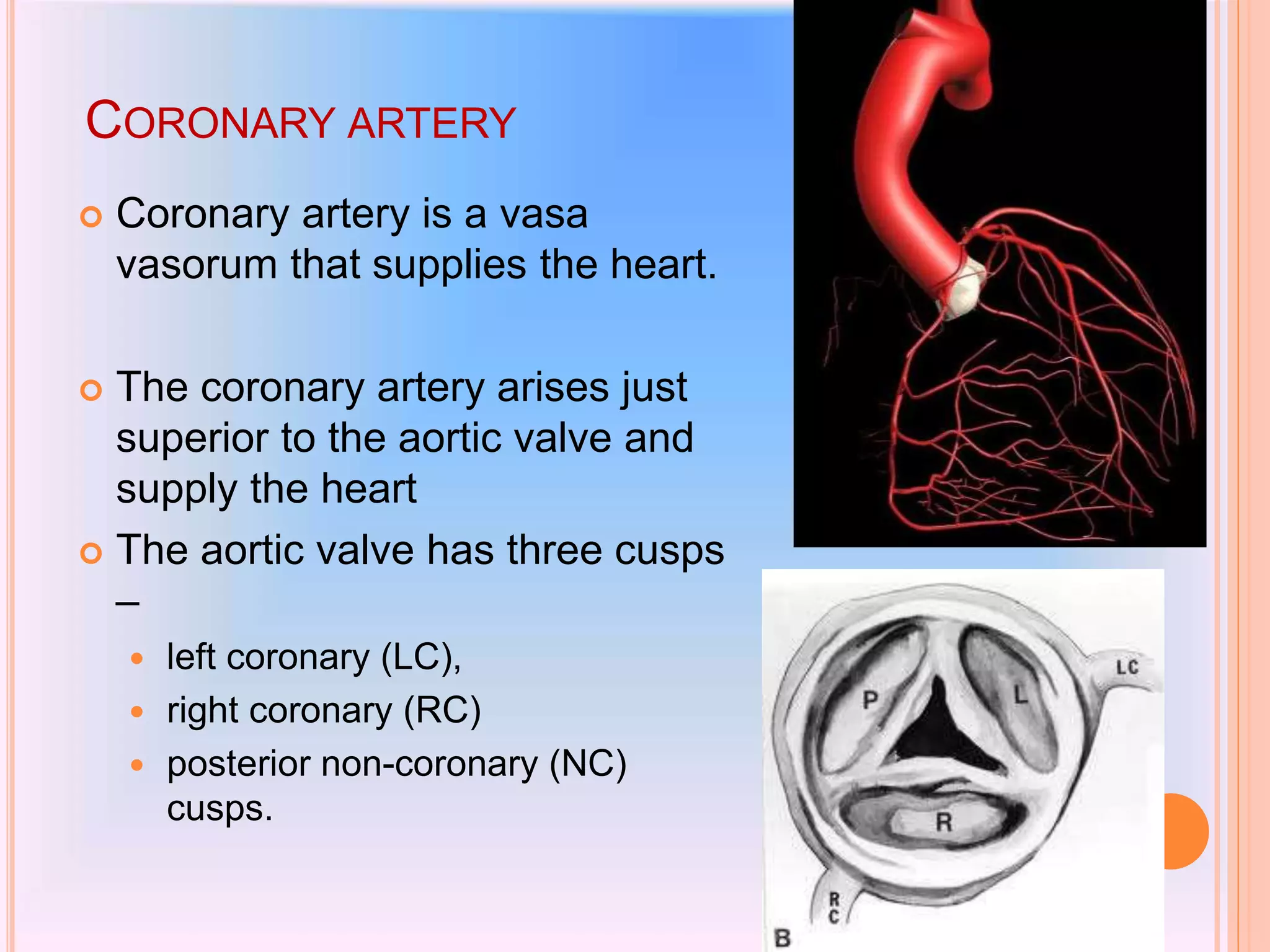 Cardiac CT | PPTX
