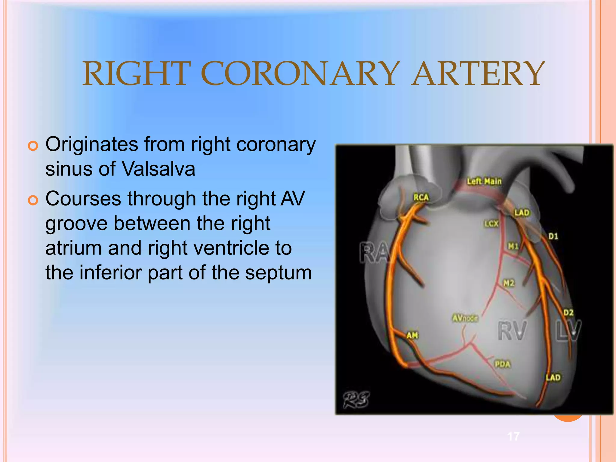 Coronary CT Angiography | PPTX