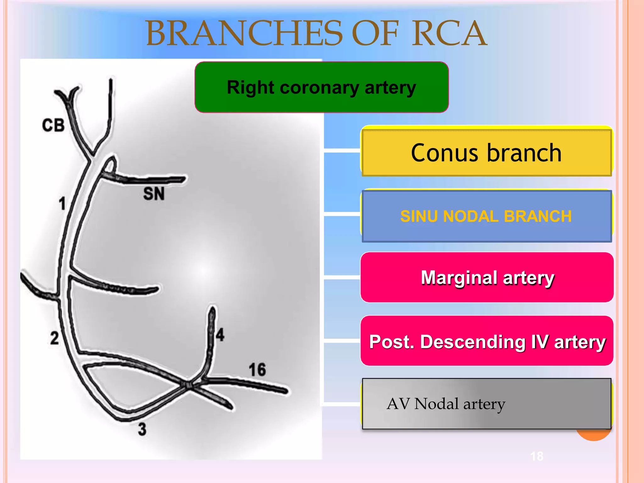 Coronary CT Angiography | PPTX