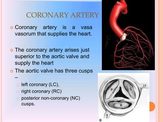 Coronary CT Angiography | PPTX