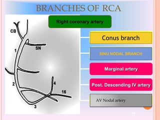 Coronary CT Angiography | PPTX