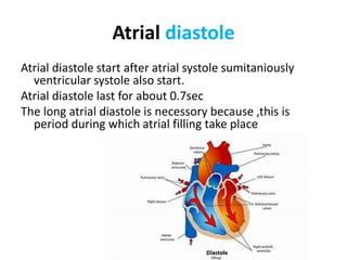 Cardiac cycle physiology ppt | PPT