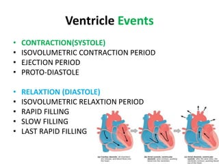 Cardiac cycle physiology ppt | PPT